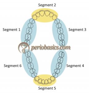 Gingival and periodontal indices - periobasics.com Clinical Periodontology