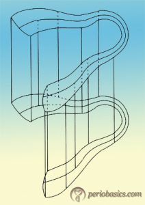 Diagnostic imaging in implantology – periobasics.com