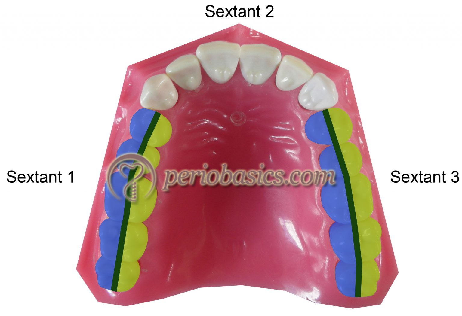 Principles of periodontal instrumentation - periobasics.com