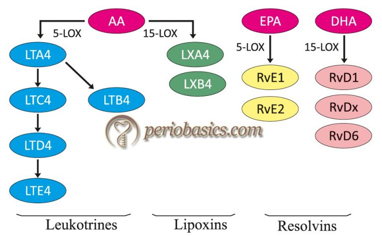 Host response modulation therapeutic agents in periodontics ...