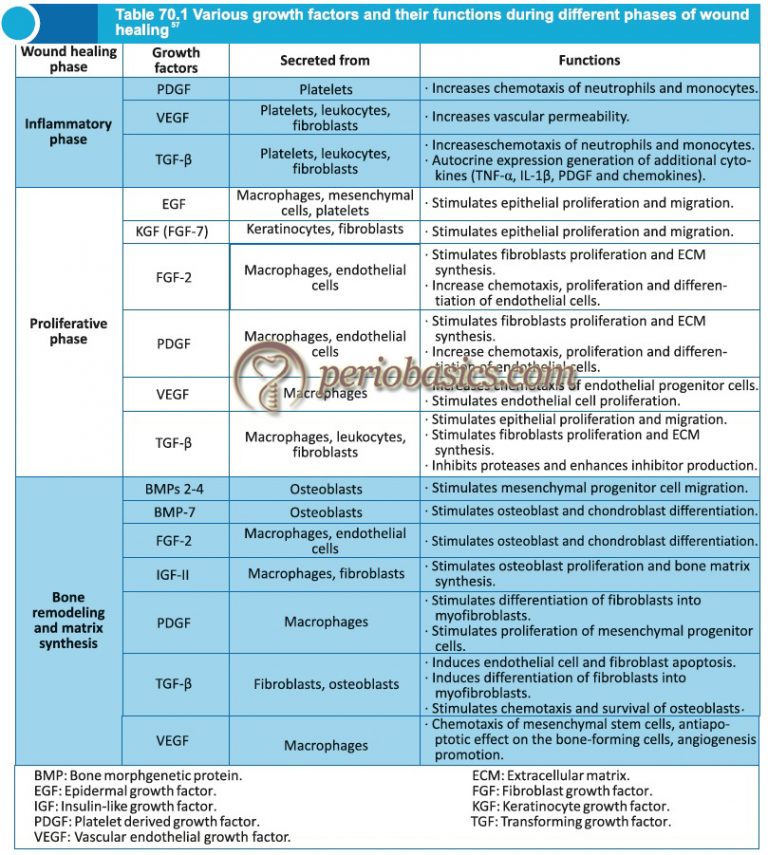 Application of growth factors in periodontal regeneration - periobasics.com