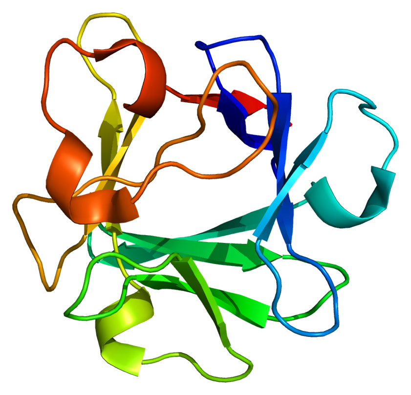 Fibroblast growth factors: Understanding their role. - periobasics.com ...